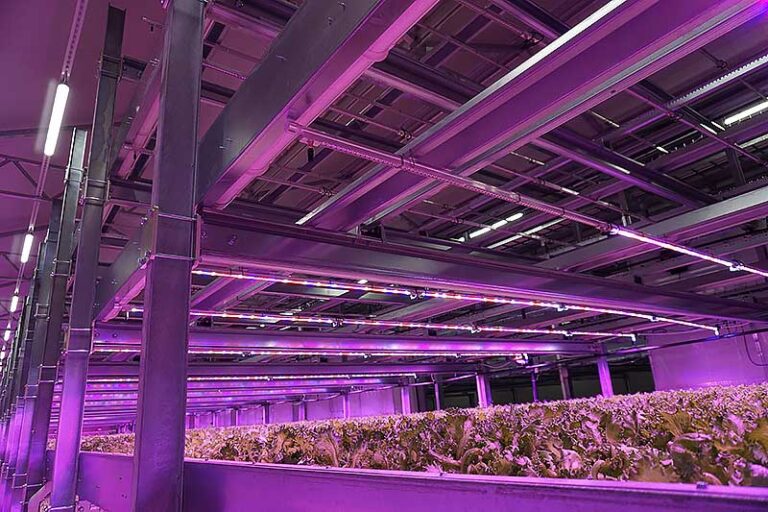 Multilayer moving gutter systems utilizes space optimally in the production