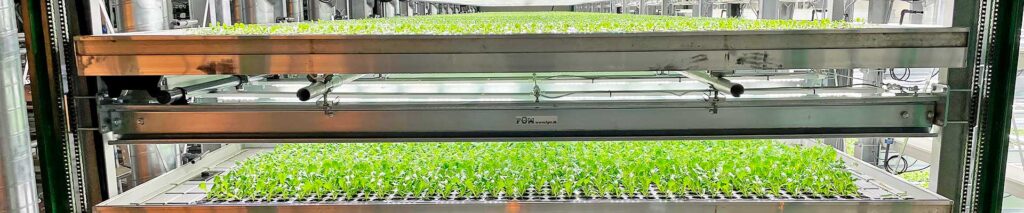 Vertical farming makes optimal use of the area and saves costs
